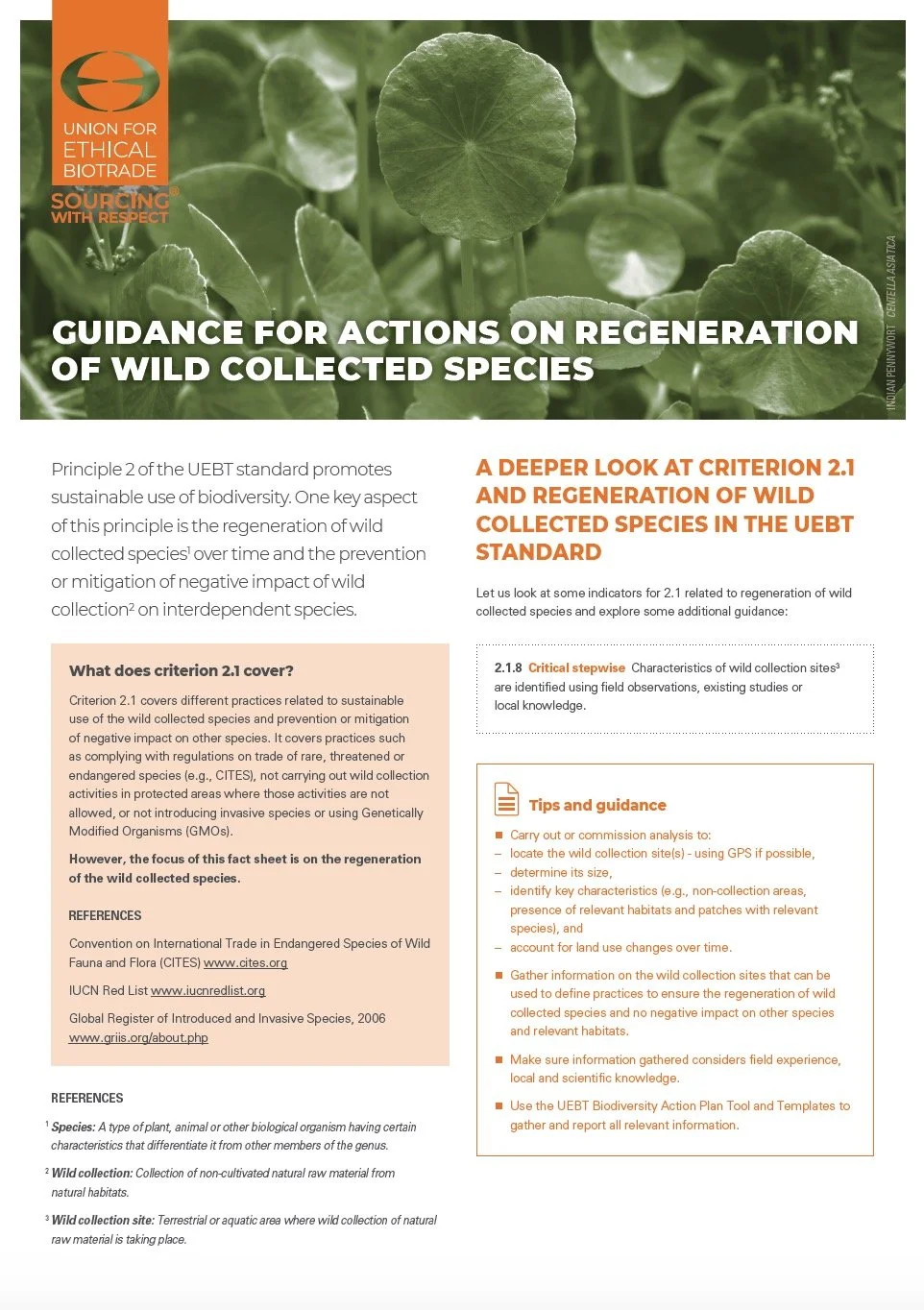 Standard — Resources — The Union for Ethical BioTrade