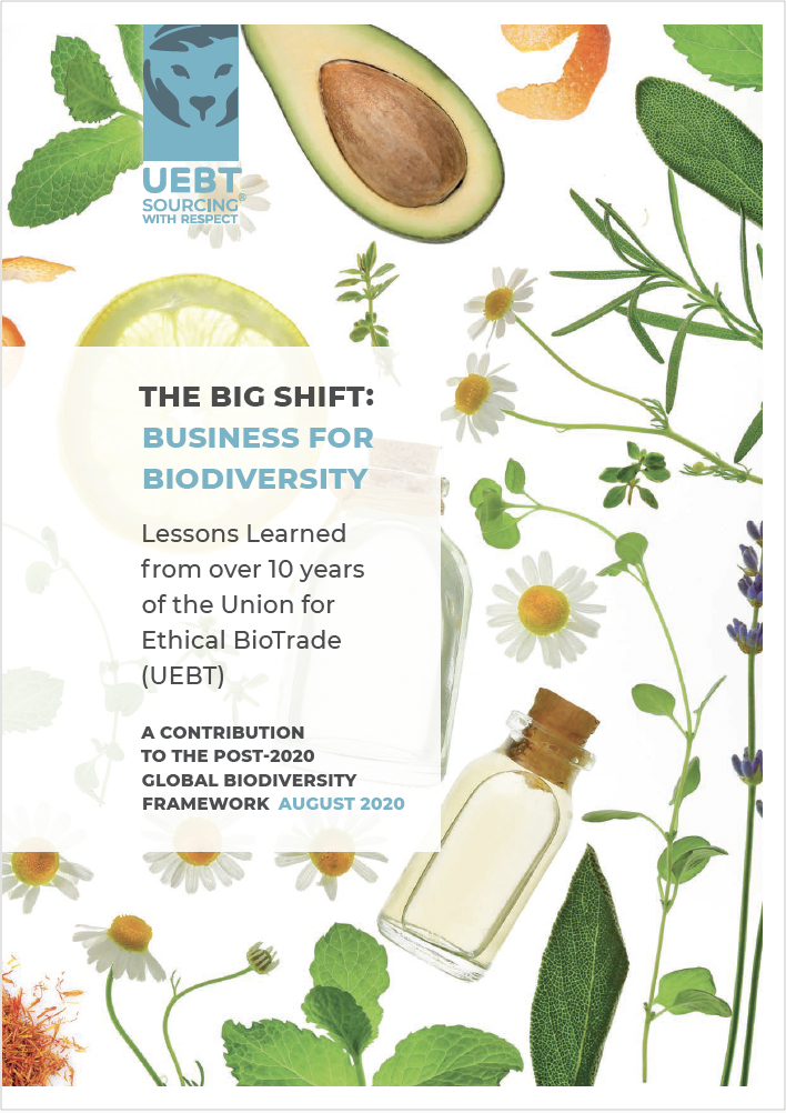 Impact — UEBT