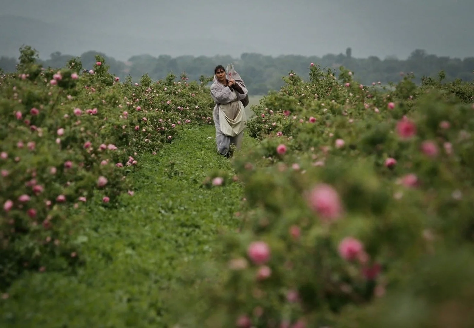 Annual report 2023 — UEBT