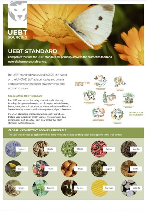 Standard — UEBT