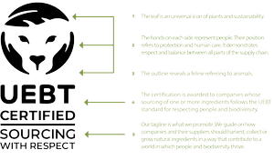 International — UEBT