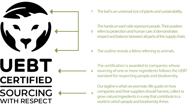 International — UEBT