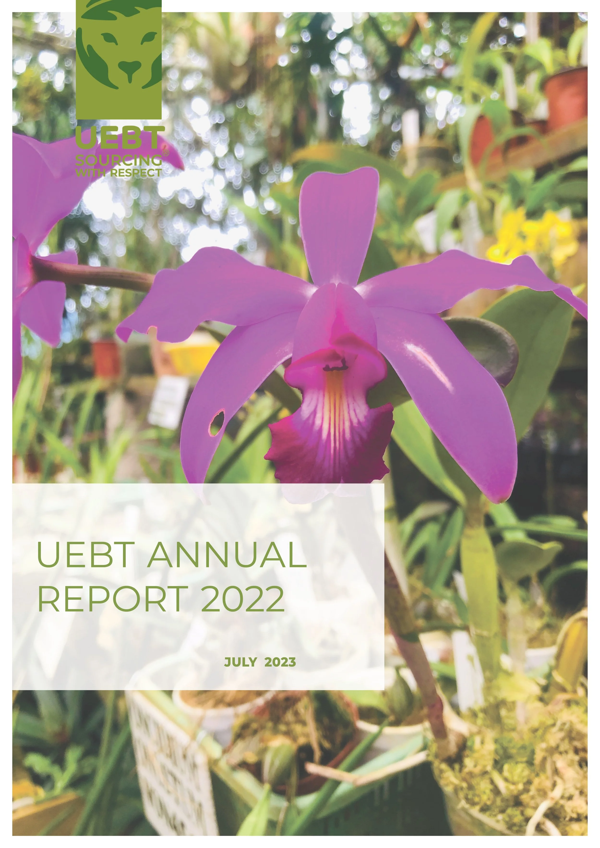 Impact — UEBT