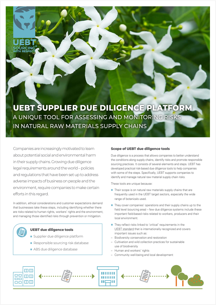 Annual report 2023 — UEBT