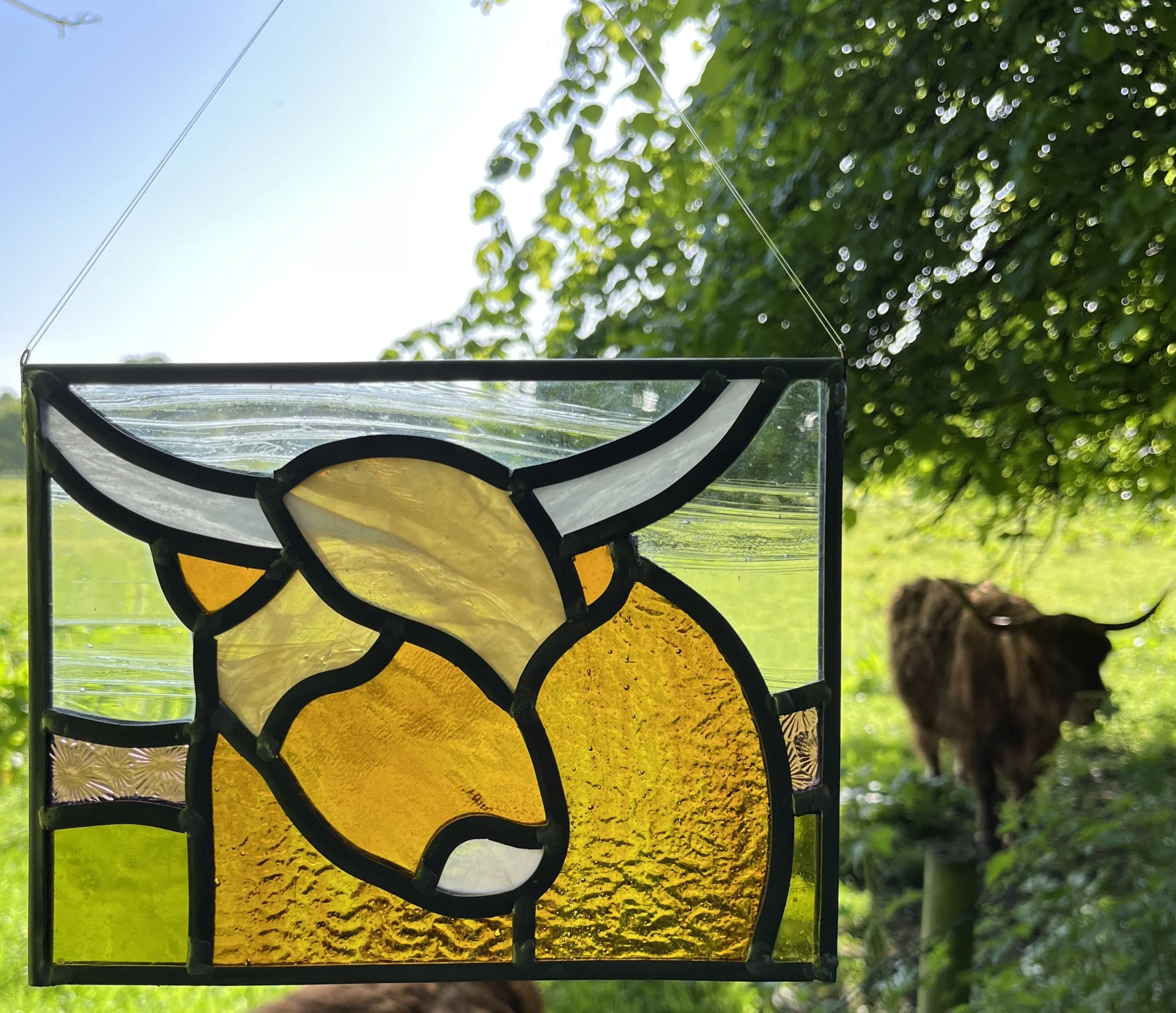 Highland Cow Panel — Jangling Space
