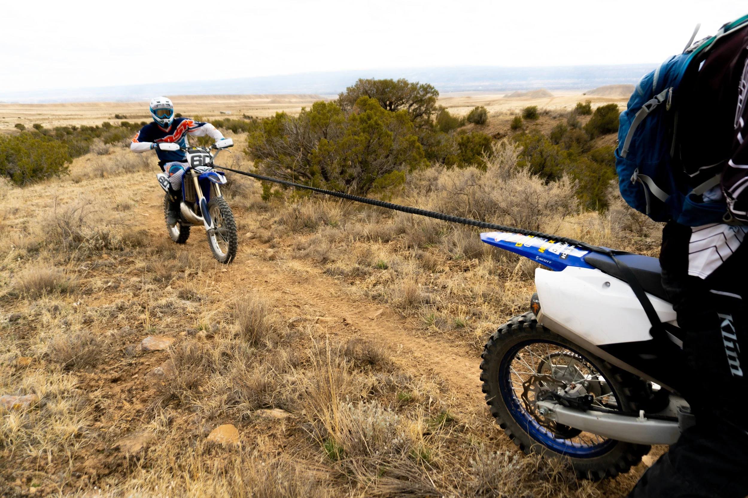 TowWhee - Bungee Tow Strap Bike Trailer and More!