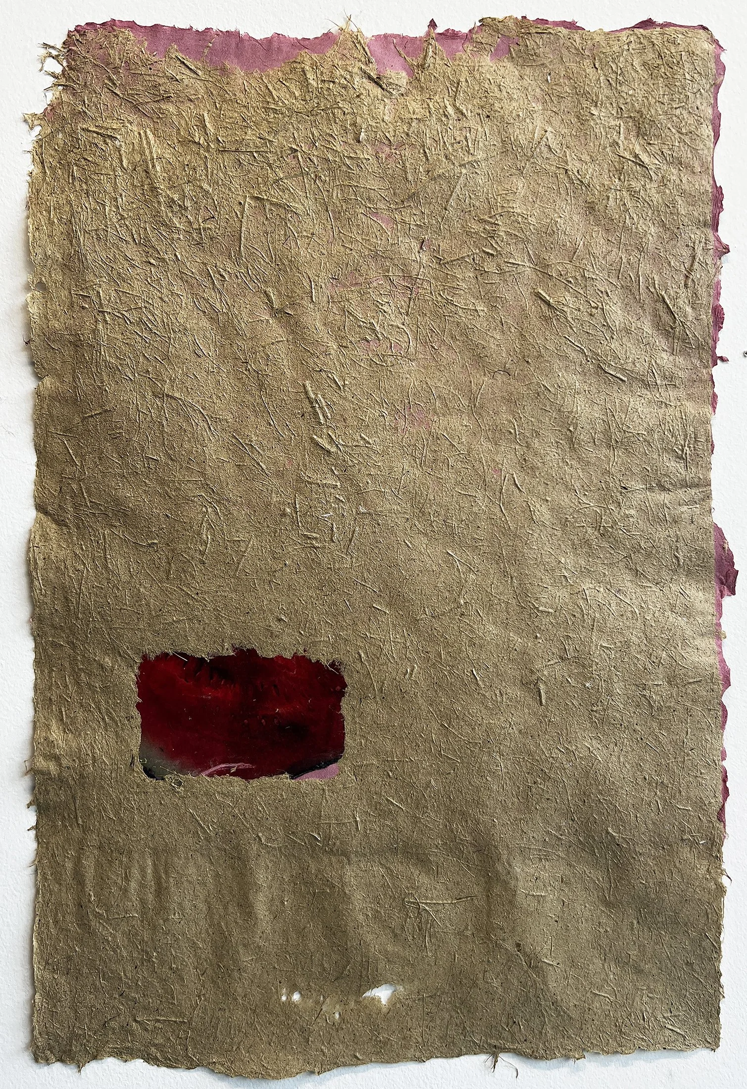 CV — Kelly Taylor Mitchell