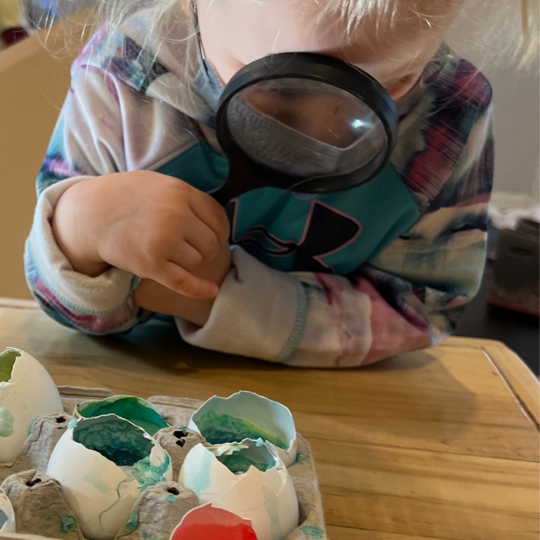 Reggio Emilia Approach: Principles, Classroom Examples + Free PDF ...