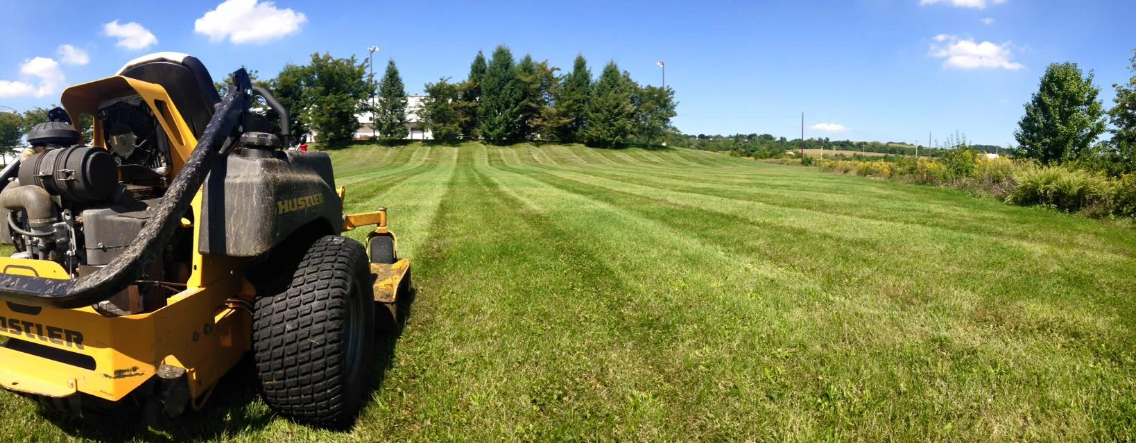 Lawn Care: Things You Need to Do in the Backyard This Fall | Nature's ...