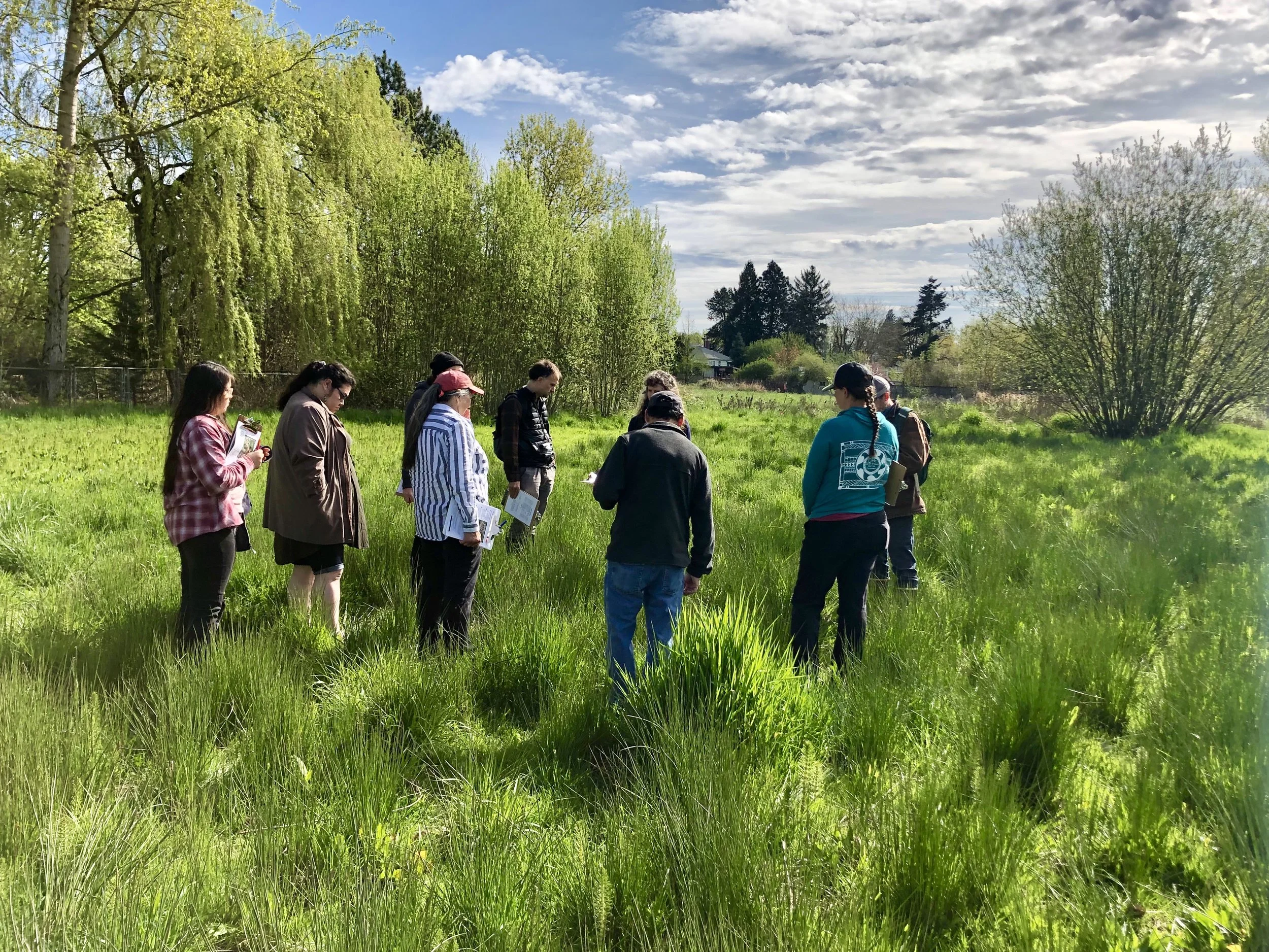 Project-Portland Equitable Mitigation Banking Study — Cascadia Partners