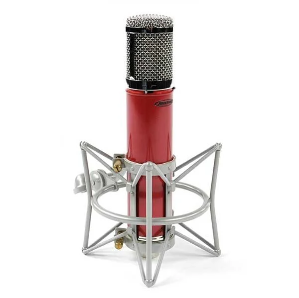 What Microphone Does Taylor Swift Use? — Acoustic Nature