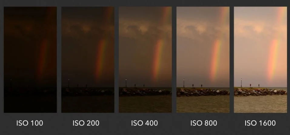 Best Video Camera For Wildlife and Nature Filmmaking — Acoustic Nature