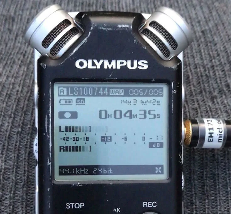 How to Get Started in Field Recording — Acoustic Nature