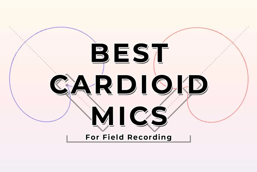 Best Cardioid Microphone for Field Recording (Ultimate Buyers Guide ...