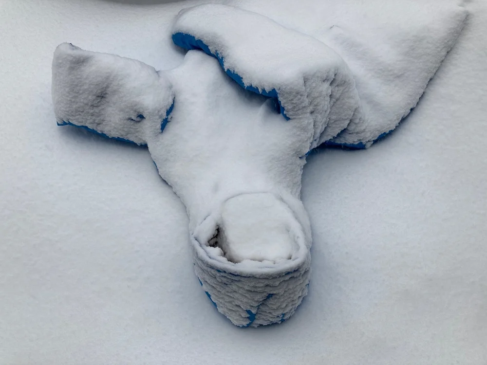 Recording the Sound of Snow (Story and Process) — Acoustic Nature