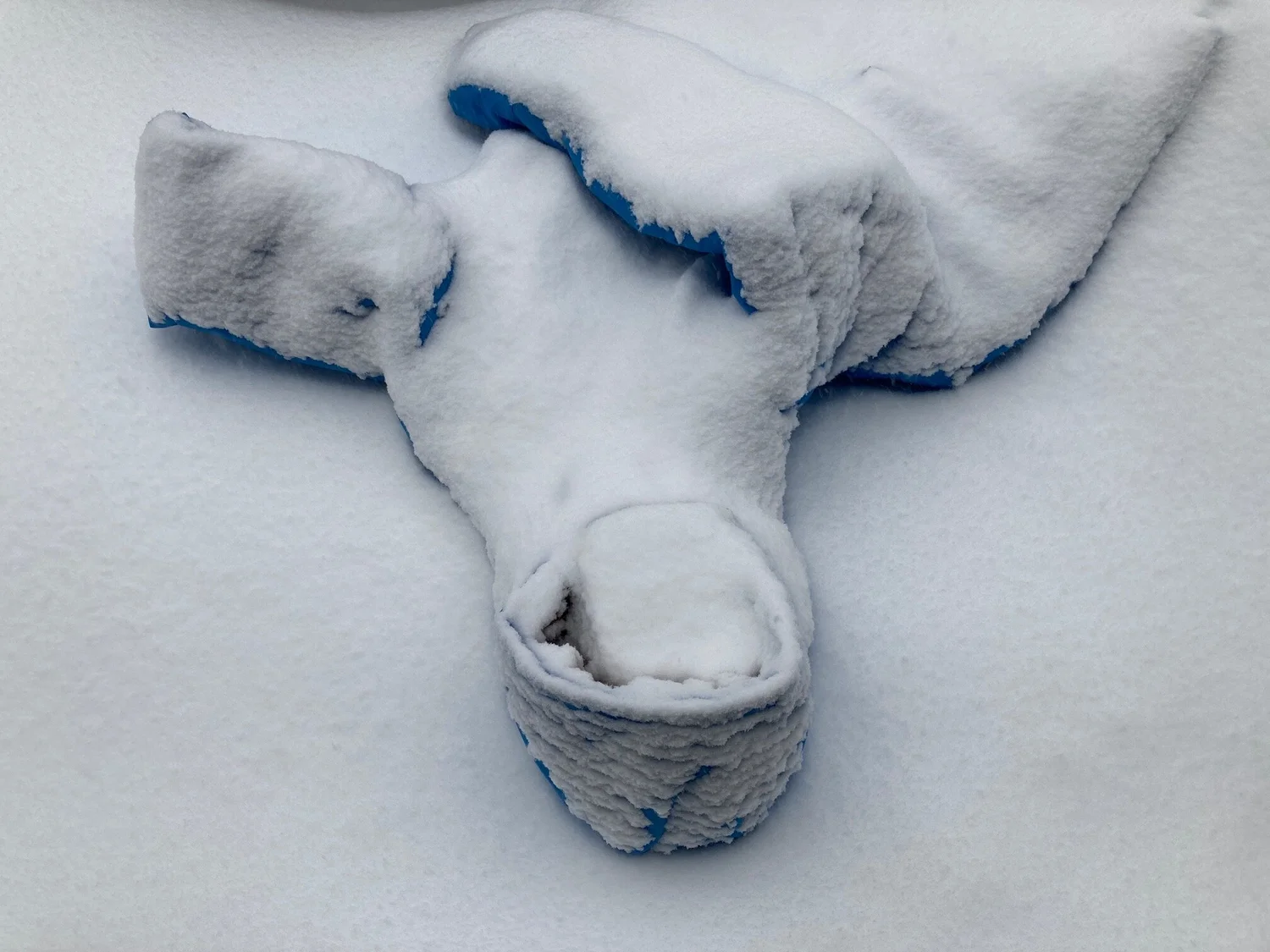 Recording the Sound of Snow (Story and Process) — Acoustic Nature