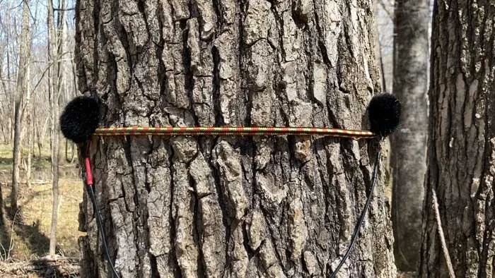 Acoustic Nature — My Field Recording Gear