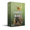 Free Forest Bird Sounds Effects Download — Acoustic Nature