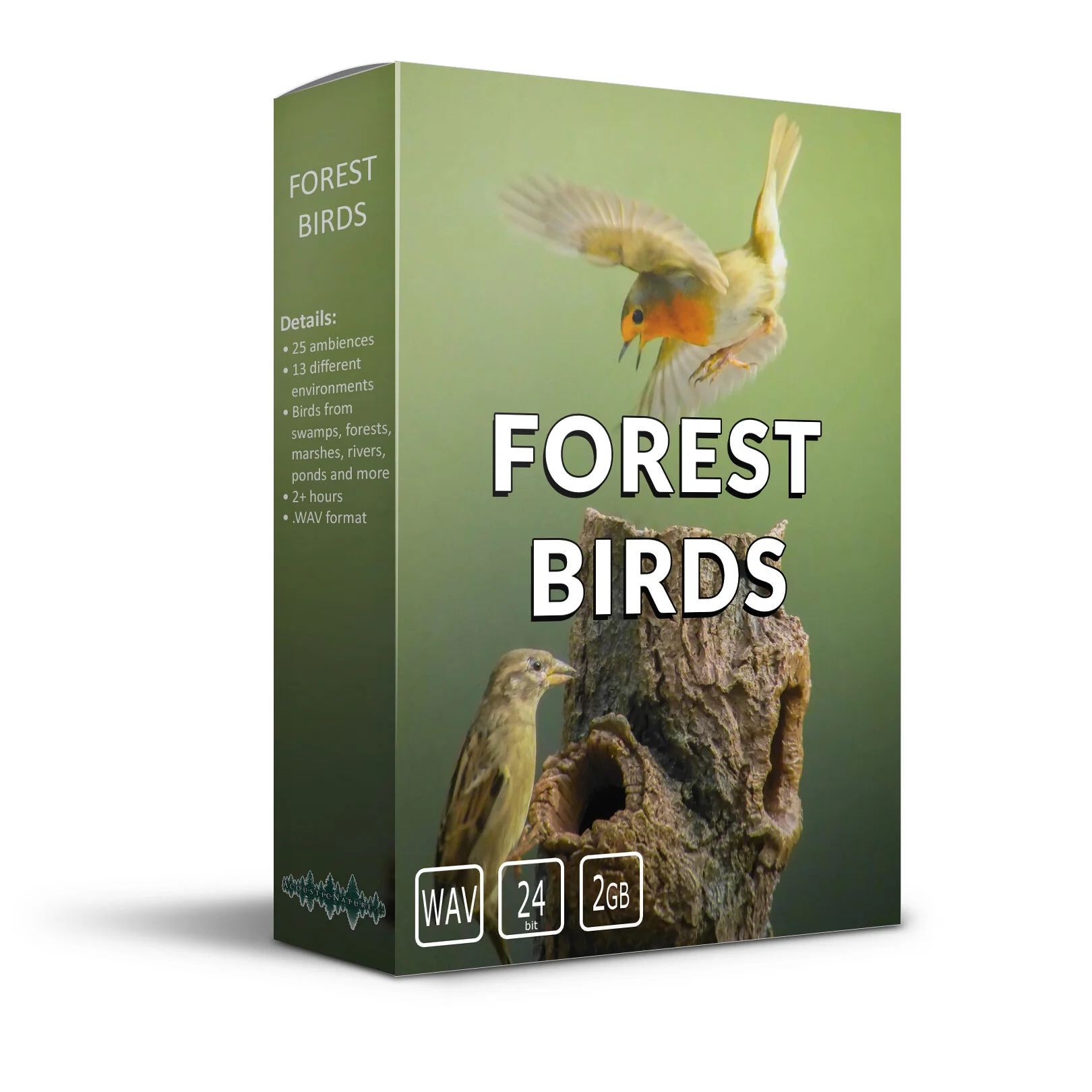 Free Forest Bird Sounds Effects Download — Acoustic Nature