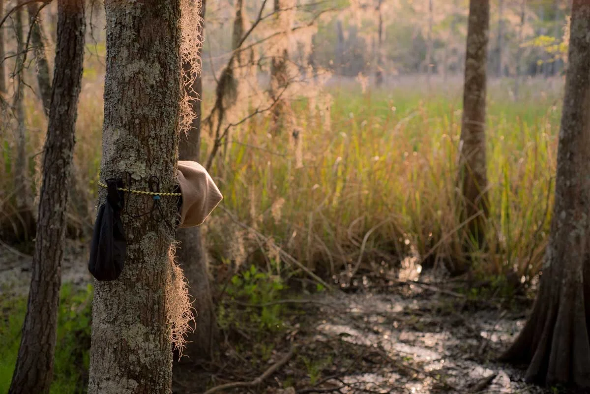 Acoustic Nature — Buy Nature Sounds Effects