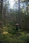 How To Record Nature Sounds: The Ultimate Guide — Acoustic Nature