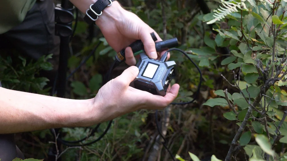 Acoustic Nature — My Field Recording Gear