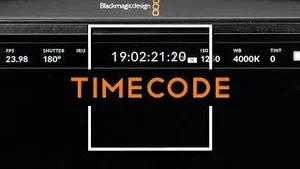 Best Audio Recorder for Filmmaking — Acoustic Nature