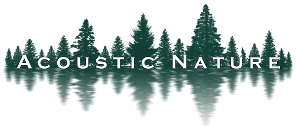 How To Record Nature Sounds: The Ultimate Guide — Acoustic Nature