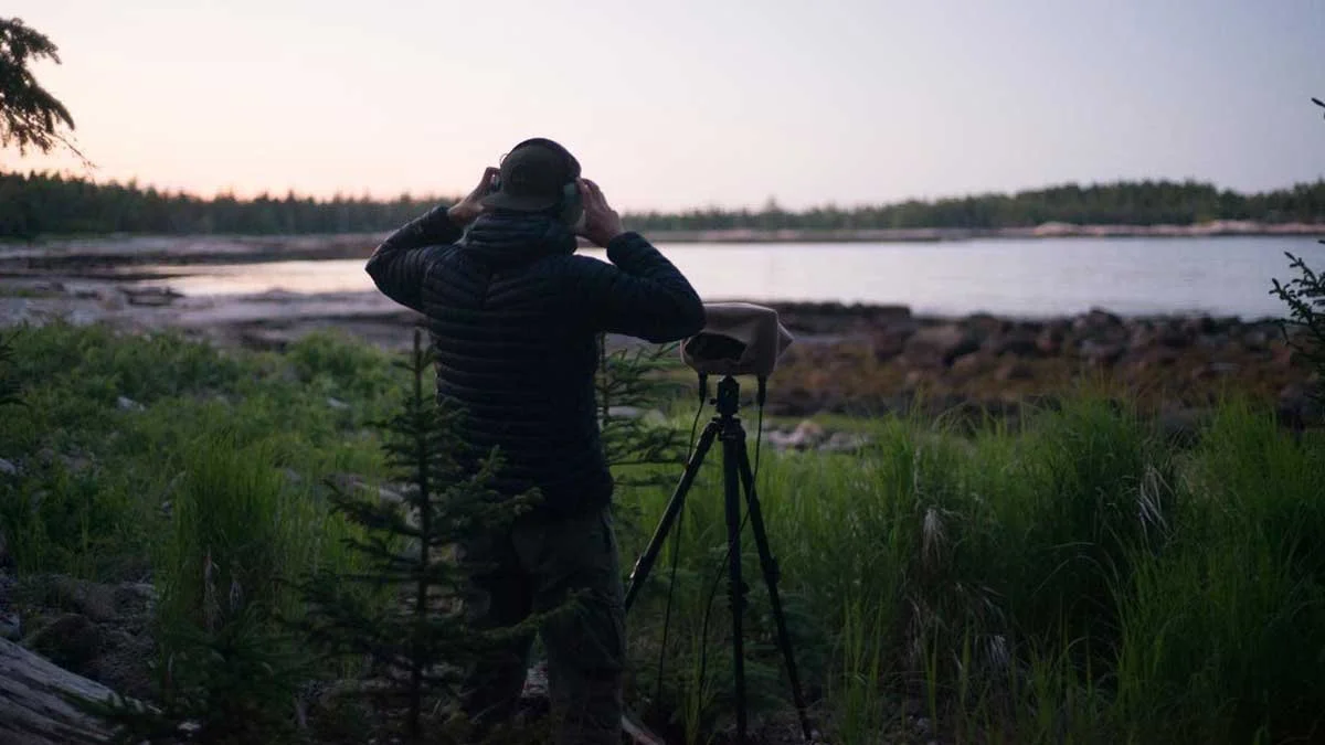 Acoustic Nature — Buy Nature Sounds Effects