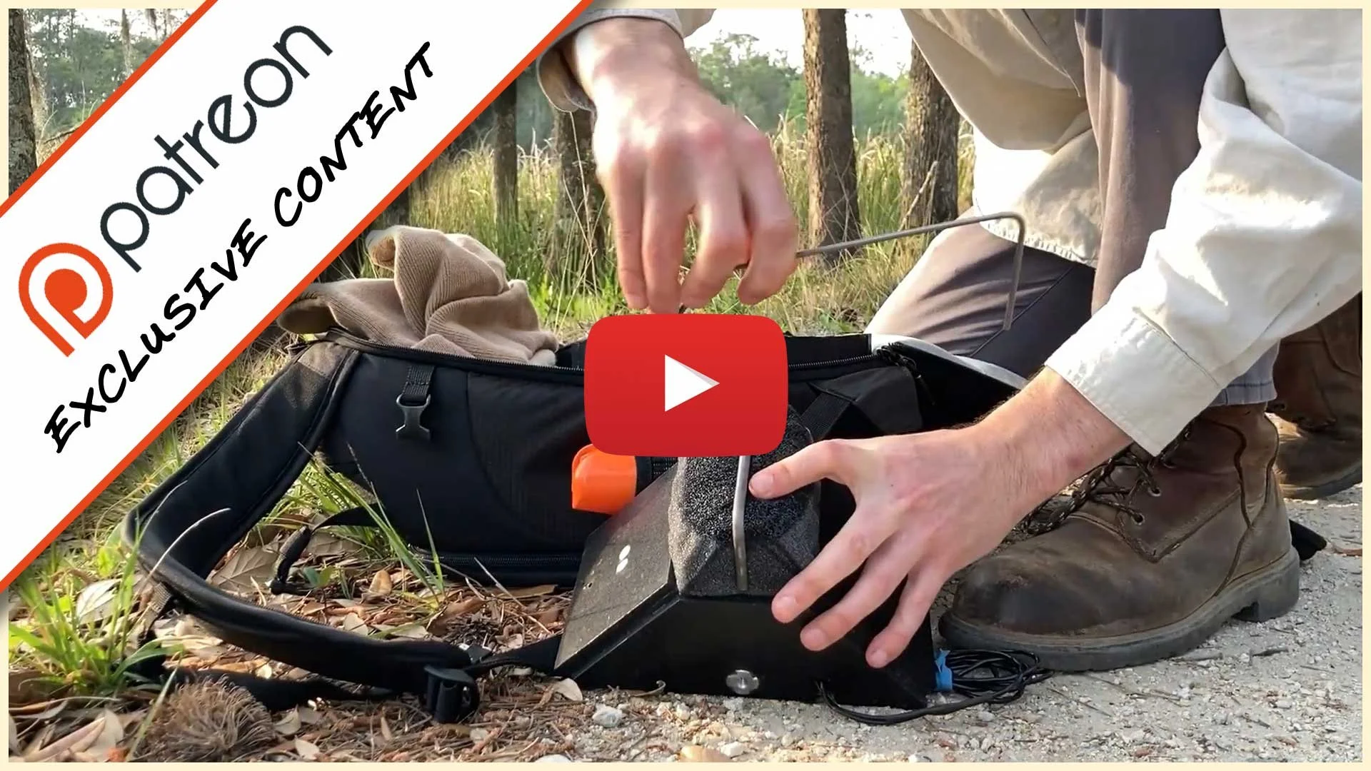 Monster In The Swamp: Santee Coastal Reserve — Acoustic Nature