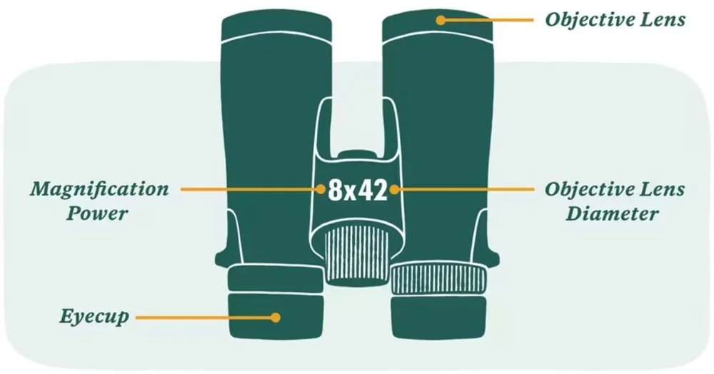 Best Bird Watching Binoculars with Camera — Acoustic Nature