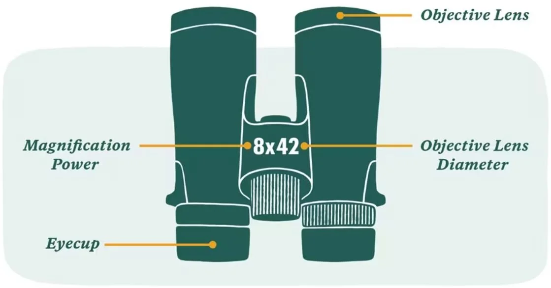 Best Bird Watching Binoculars with Camera — Acoustic Nature