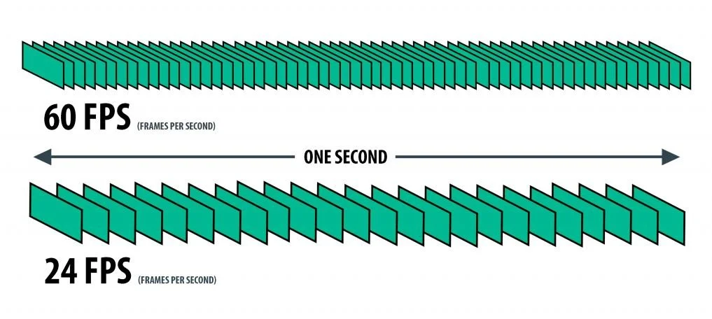 Best Video Camera For Wildlife and Nature Filmmaking — Acoustic Nature
