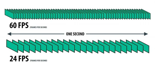 Best Video Camera For Wildlife and Nature Filmmaking — Acoustic Nature