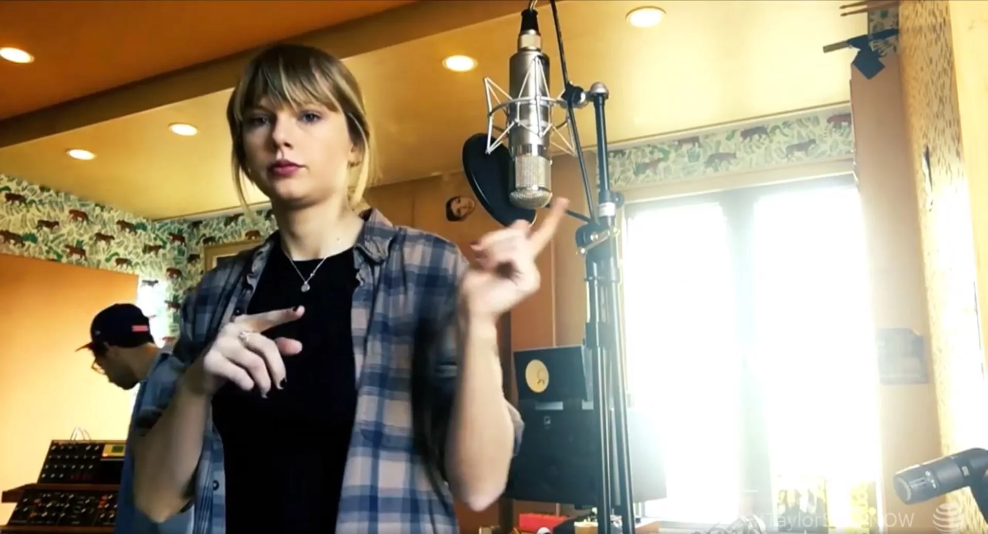 What Microphone Does Taylor Swift Use? — Acoustic Nature