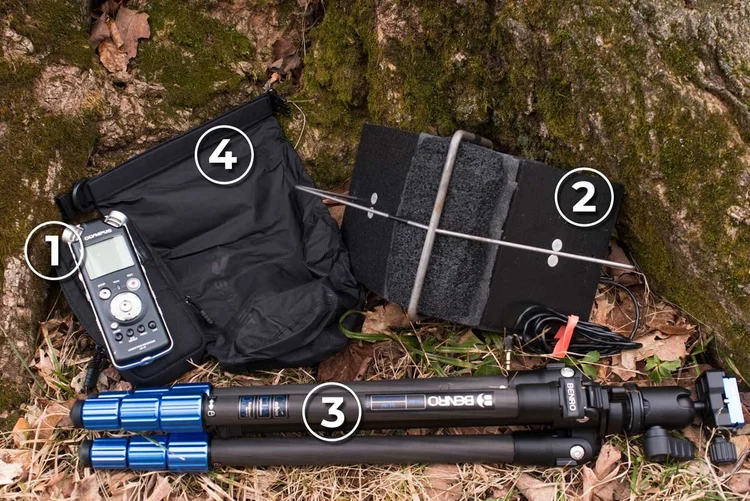 How To Record Nature Sounds: The Ultimate Guide — Acoustic Nature