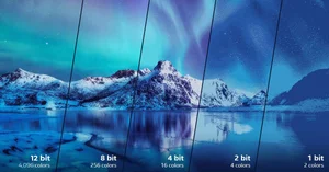 Best Video Camera For Wildlife and Nature Filmmaking — Acoustic Nature