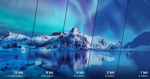 Best Video Camera For Wildlife and Nature Filmmaking — Acoustic Nature