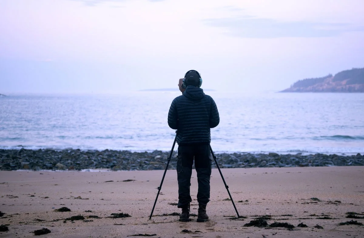 How To Record Nature Sounds: The Ultimate Guide — Acoustic Nature