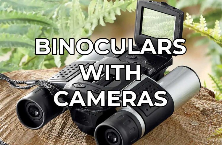 Best Bird Watching Binoculars with Camera — Acoustic Nature