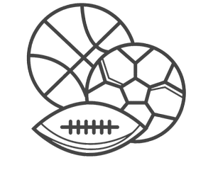 Best Parabolic Microphone | For Birding & Football — Acoustic Nature