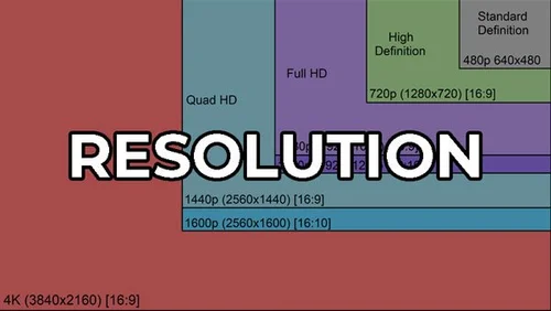 Best Video Camera For Wildlife and Nature Filmmaking — Acoustic Nature