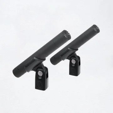 Best Microphone for Recording Nature Sounds (Ultimate Guide) — Acoustic ...