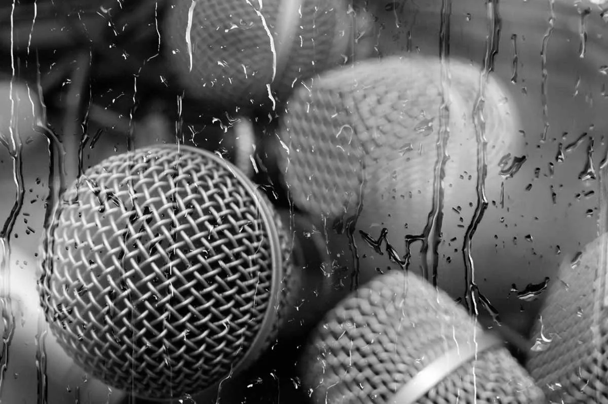 How To Record Nature Sounds: The Ultimate Guide — Acoustic Nature