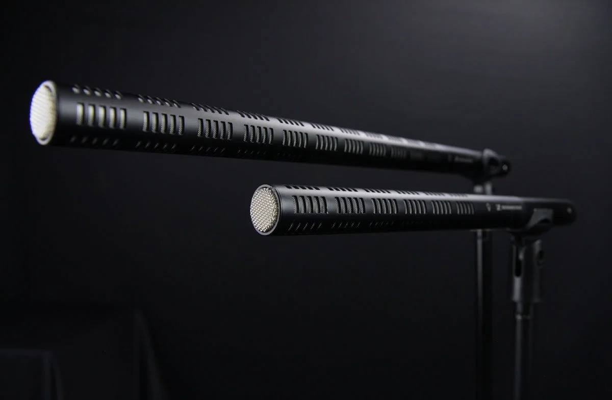Best Shotgun Mic for Field Recording in 2023 — Acoustic Nature