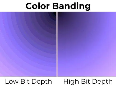 Best Video Camera For Wildlife and Nature Filmmaking — Acoustic Nature