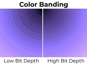 Best Video Camera For Wildlife and Nature Filmmaking — Acoustic Nature