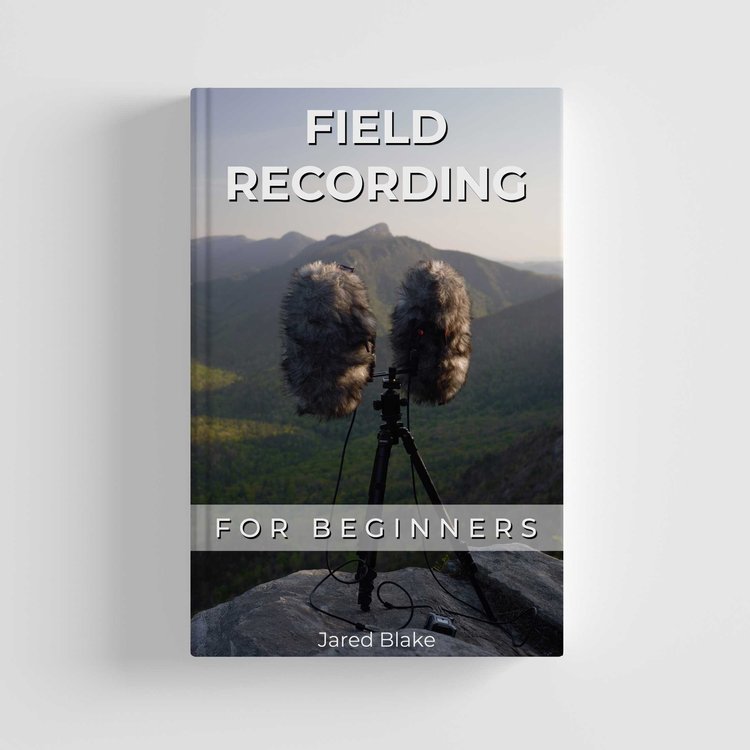 Acoustic Nature — Field Recording Blog