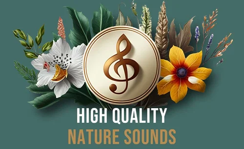 Acoustic Nature — Best Nature Sounds for Sleep