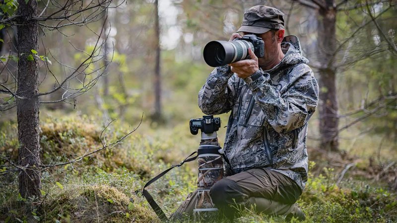 Best Budget Lens for Wildlife Photography: Canon — Acoustic Nature